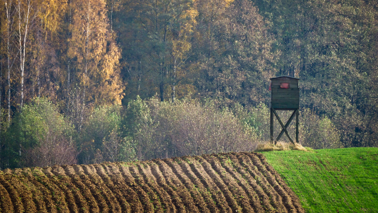 Hunting syndicates: Calls for more cooperation between hunters, farmers ...