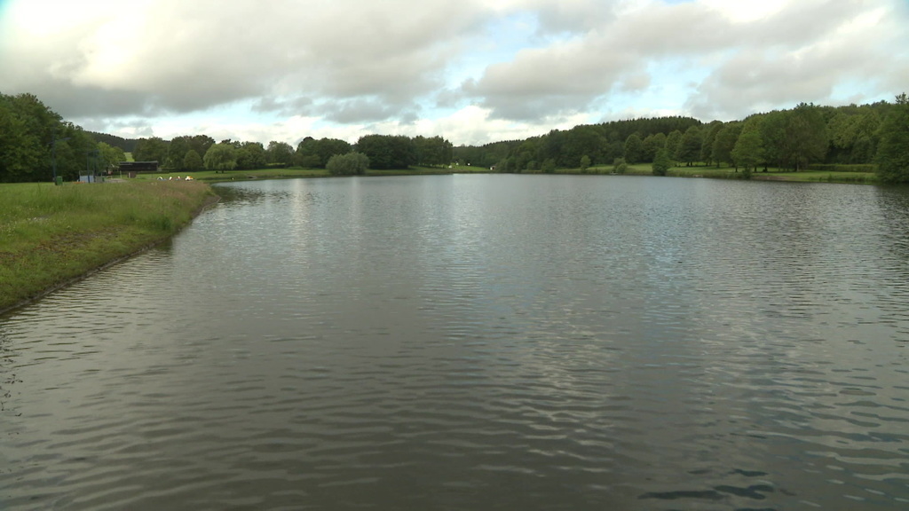 Swimming prohibited: Blue-green algae detected in upper part of ...