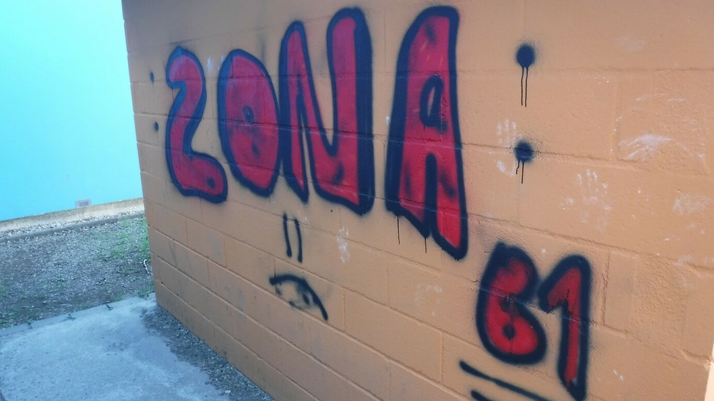 Call for witnesses: Appeal for witnesses regarding graffiti in ...