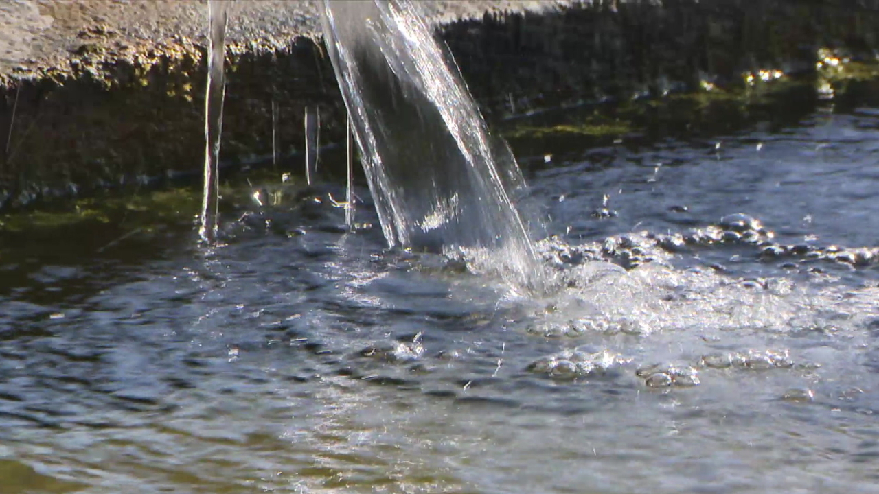 Preventing water shortages: How to save water during dry summer months ...