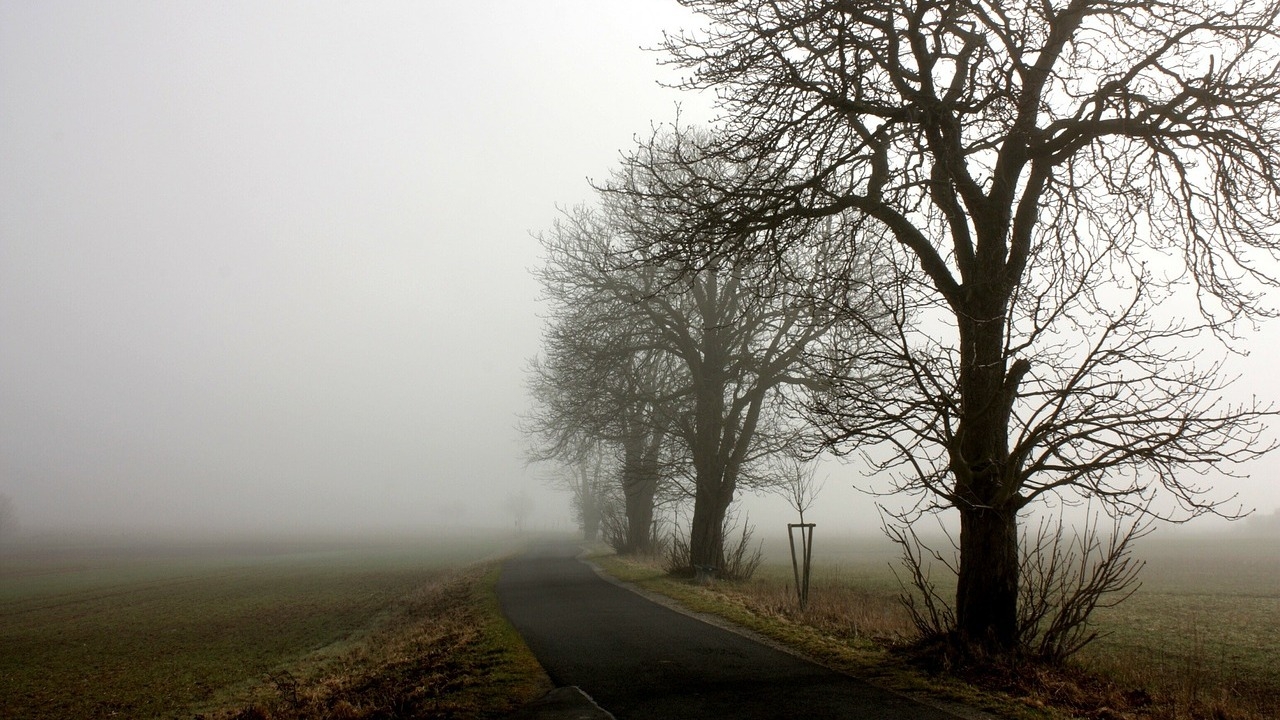 Weekend weather outlook: Unstable conditions persist, overnight frost ...