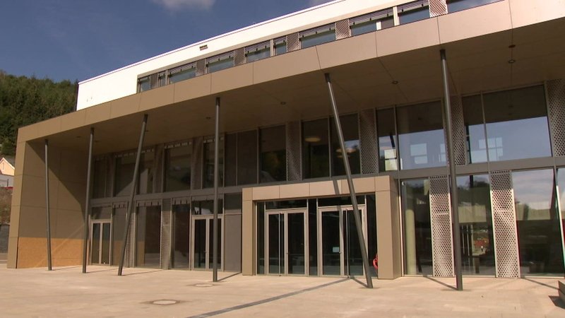 Disciplinary action: Director of Lycée Edward Steichen suspended until ...