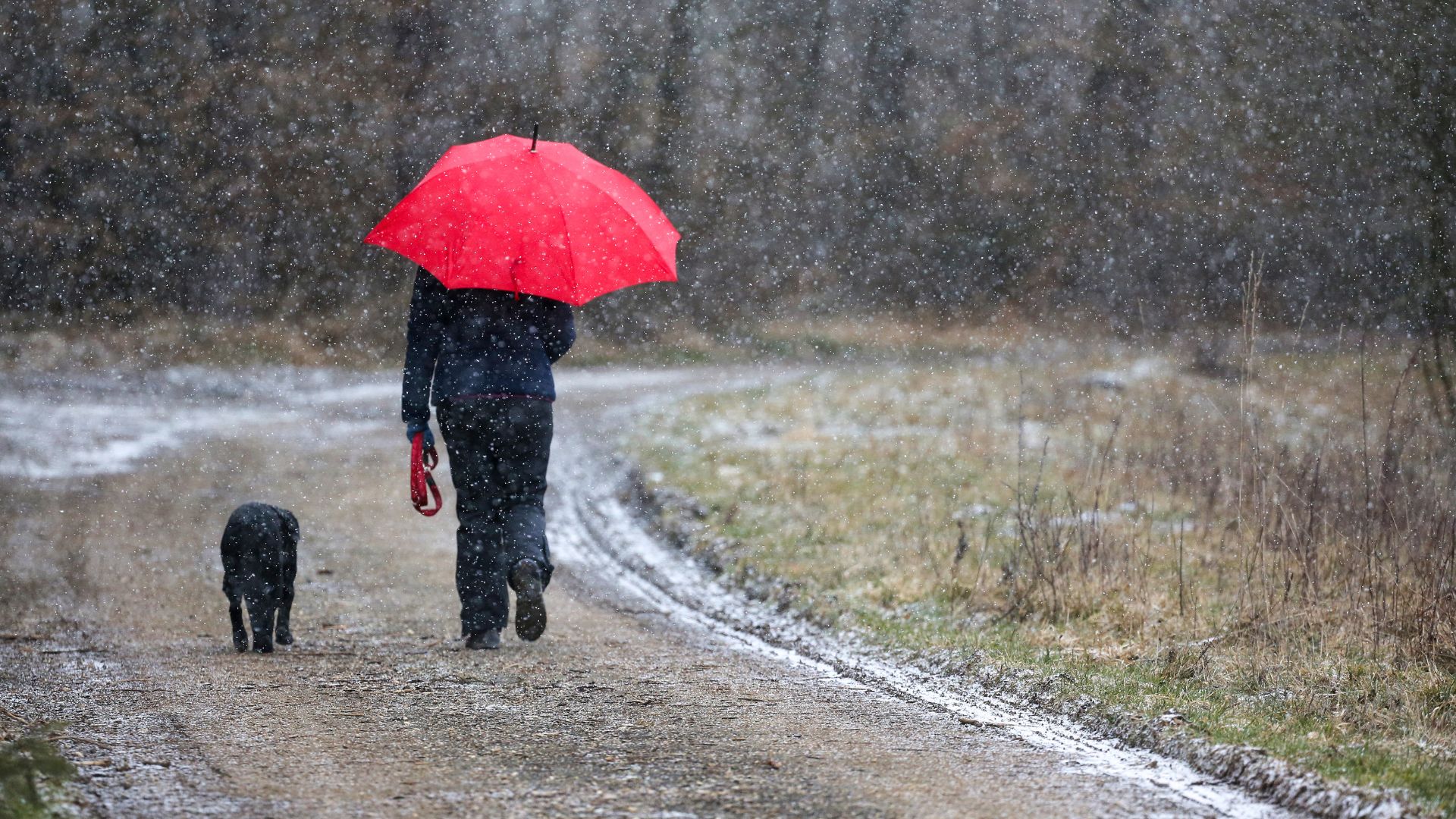 Weather & Traffic: Sunday 7 January – Temperature going down - RTL Today
