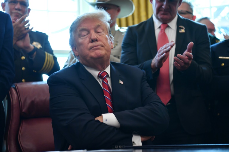 Tagger collared: Police nab pro-Trump graffiti artist with fake wall ...