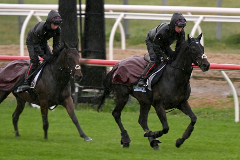 Melbourne Cup: Half Yours favourite at Australia's 'race that stops a ...