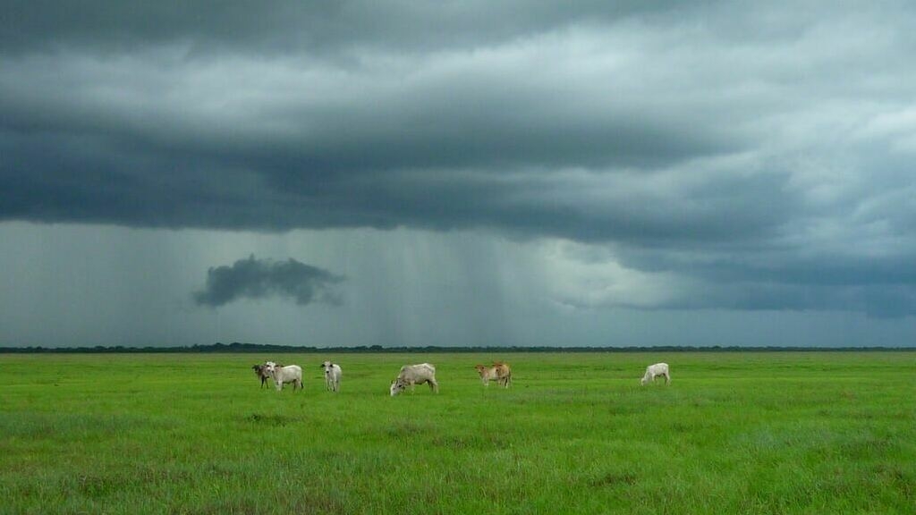 Weather & Traffic: Tuesday 9 September: Rain, cloud, and sunshine - RTL ...