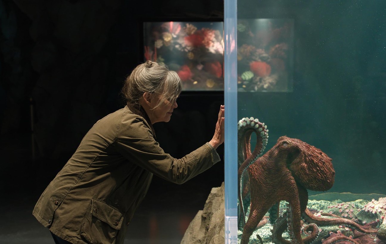 Screens: Film Review: Book vs Film – Remarkably Bright Creatures - RTL ...