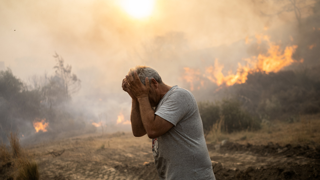 More than 40 people have died : Intense wildfires persist throughout ...