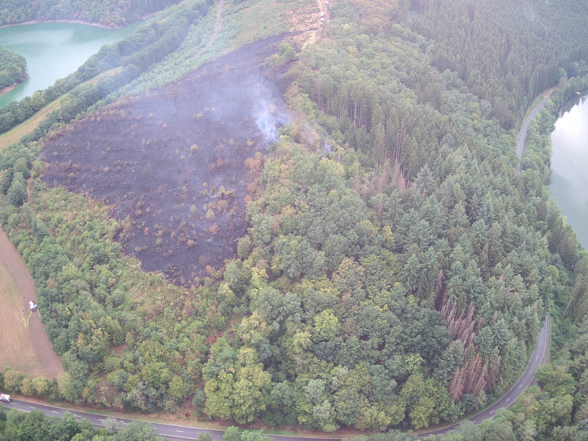 Upper Sûre Lake: Forest fire breaks out again - RTL Today