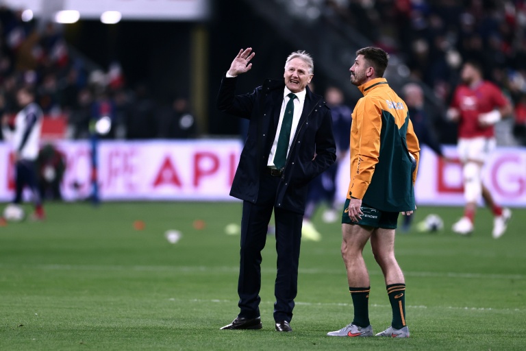 Rugby union: Schmidt challenges Wallabies to 'roll up their sleeves ...