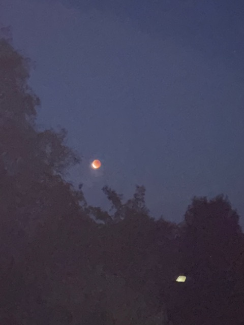 Photo gallery: Stunning Blood Moon rises above Luxembourg