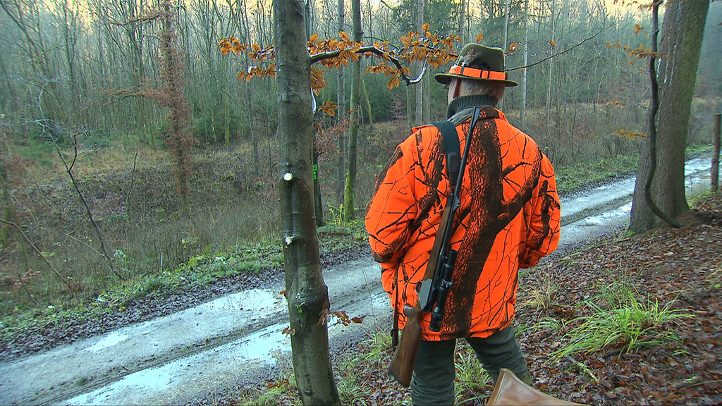 Parliamentary question: How is hunted game handled in Luxembourg? - RTL ...