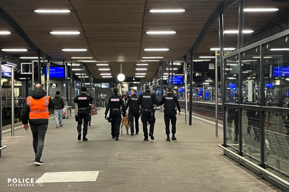 Police and customs checks: Two arrested in Gare district - RTL Today