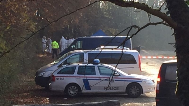 Duebelmord Schléiwenhaff/Fräiheetsbam: 2. Ugeklote gesteet ee Feeler ...