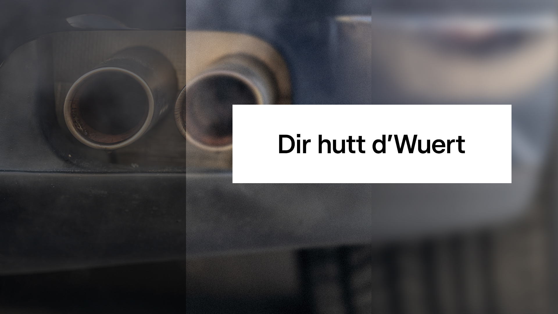 Dir hutt d'Wuert: Wat haalt Dir vum Verbrennerverbuet?