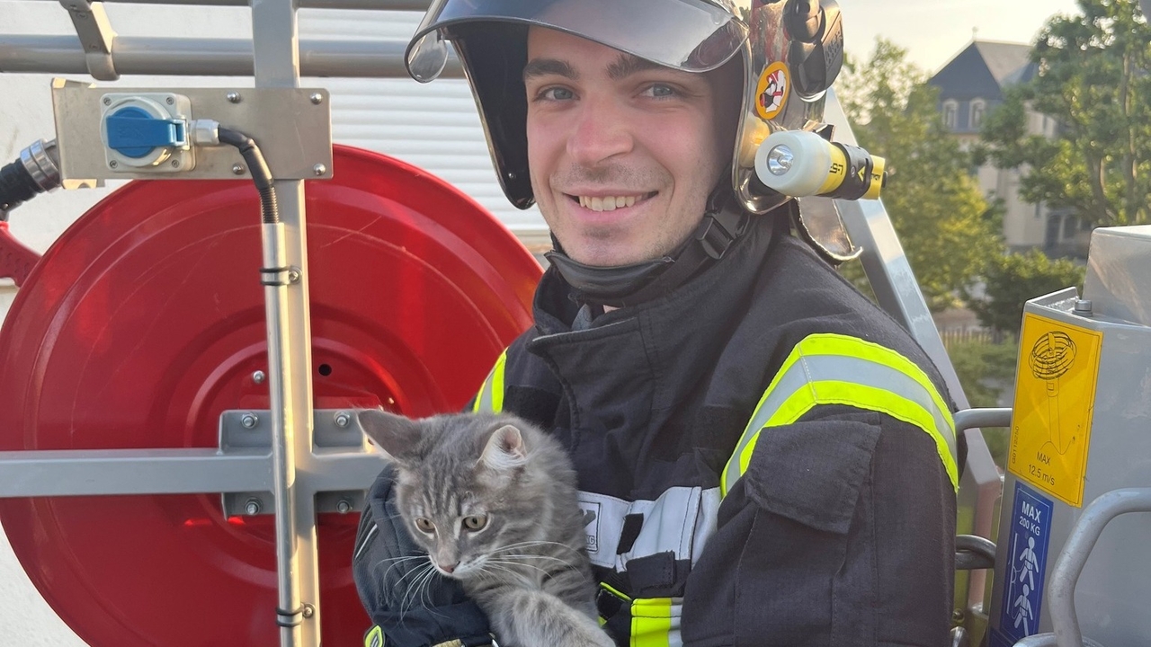 Fotoen op de soziale Medien: CGDIS net nëmme fir d'Mënschen do, och fir d'Déieren - RTL Lëtzebuerg