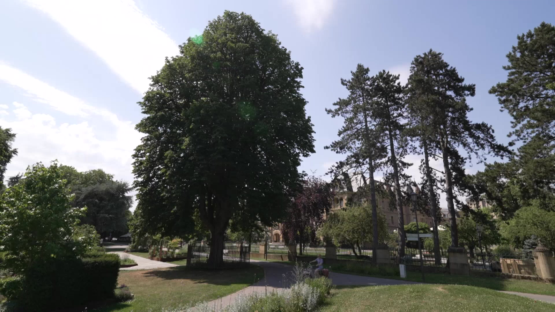 Nature and Forest Agency campaign: Public invited to identify ...