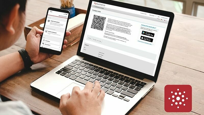 Via Myguichet.lu: Electronic patient record access to be simplified ...