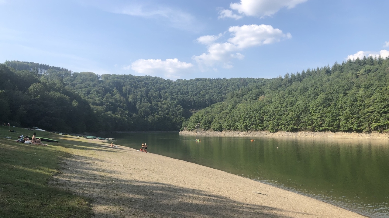 Algues bleues: Baignade à nouveau autorisée sur toutes les plages du ...