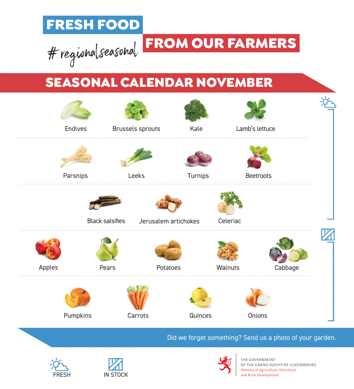November: A greater variety of fresh produce available than you might ...
