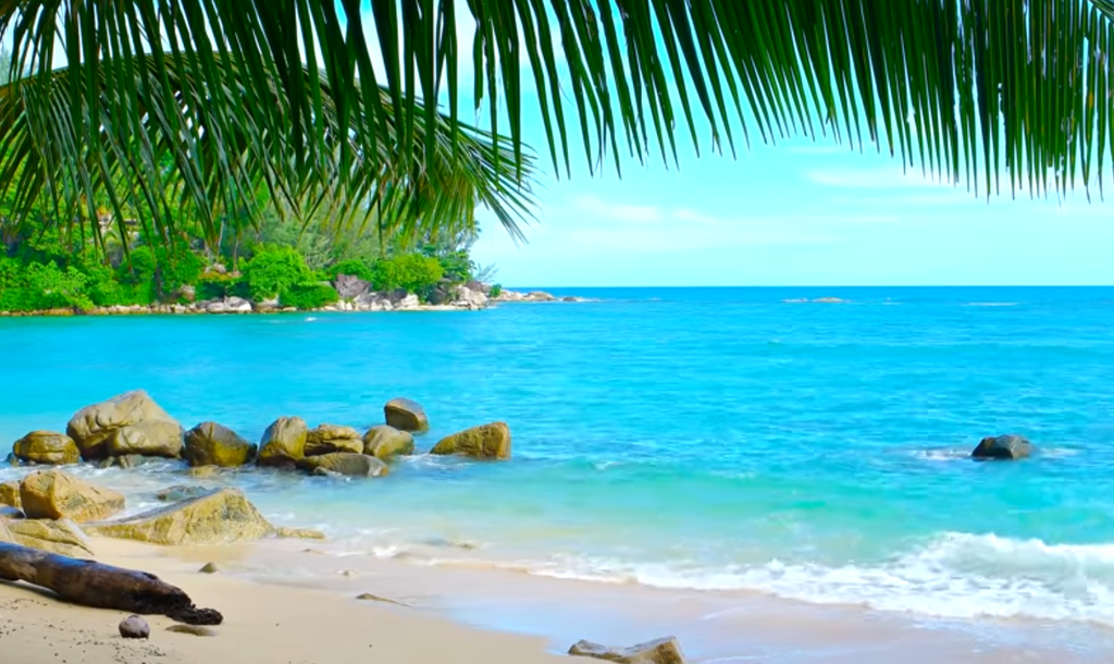 Neien Trend: Ass Slow-TV eng Léisung fir eis hektesch Welt ze vergiessen?