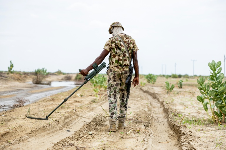 Following heavy cuts: US aid flows to Nigeria anti-landmine efforts ...