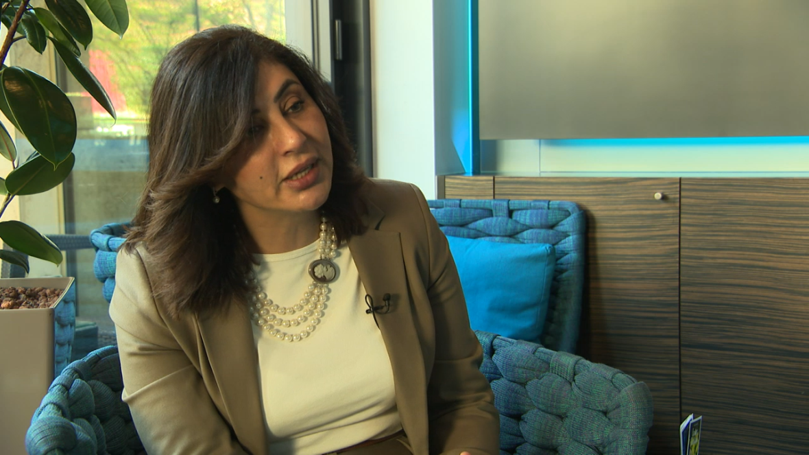 Interview with Amal Jadou: Palestinian ambassador calls for EU to ...