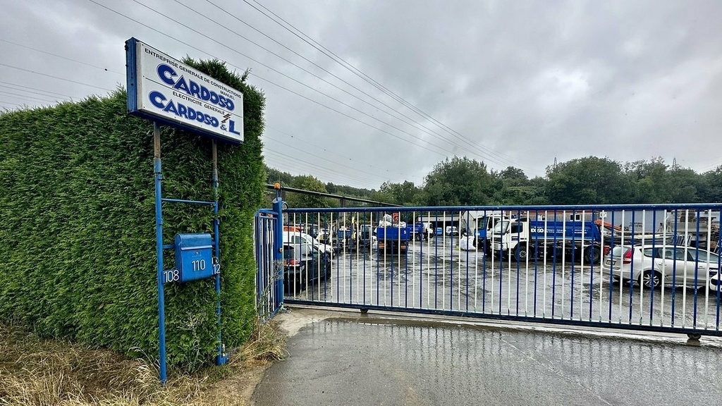 Following bankruptcy: Majority of former Cardoso employees likely to ...