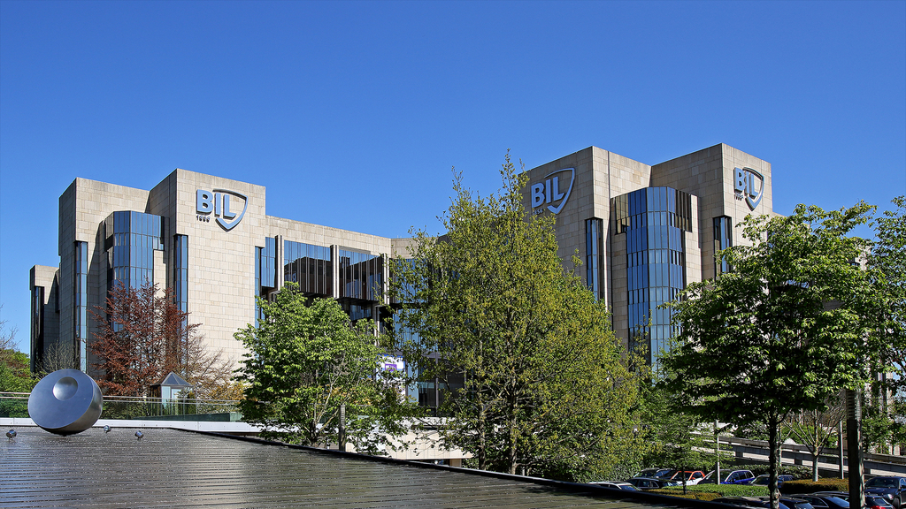 The future of BIL: Sale looms as Chinese investment firm seeks buyer ...