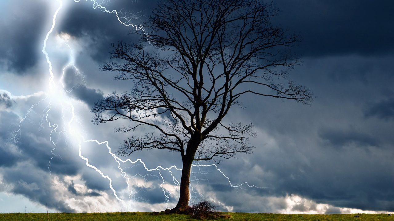 Up to 1,090 million tonnes of CO2: Lightning strikes claim 320 million ...