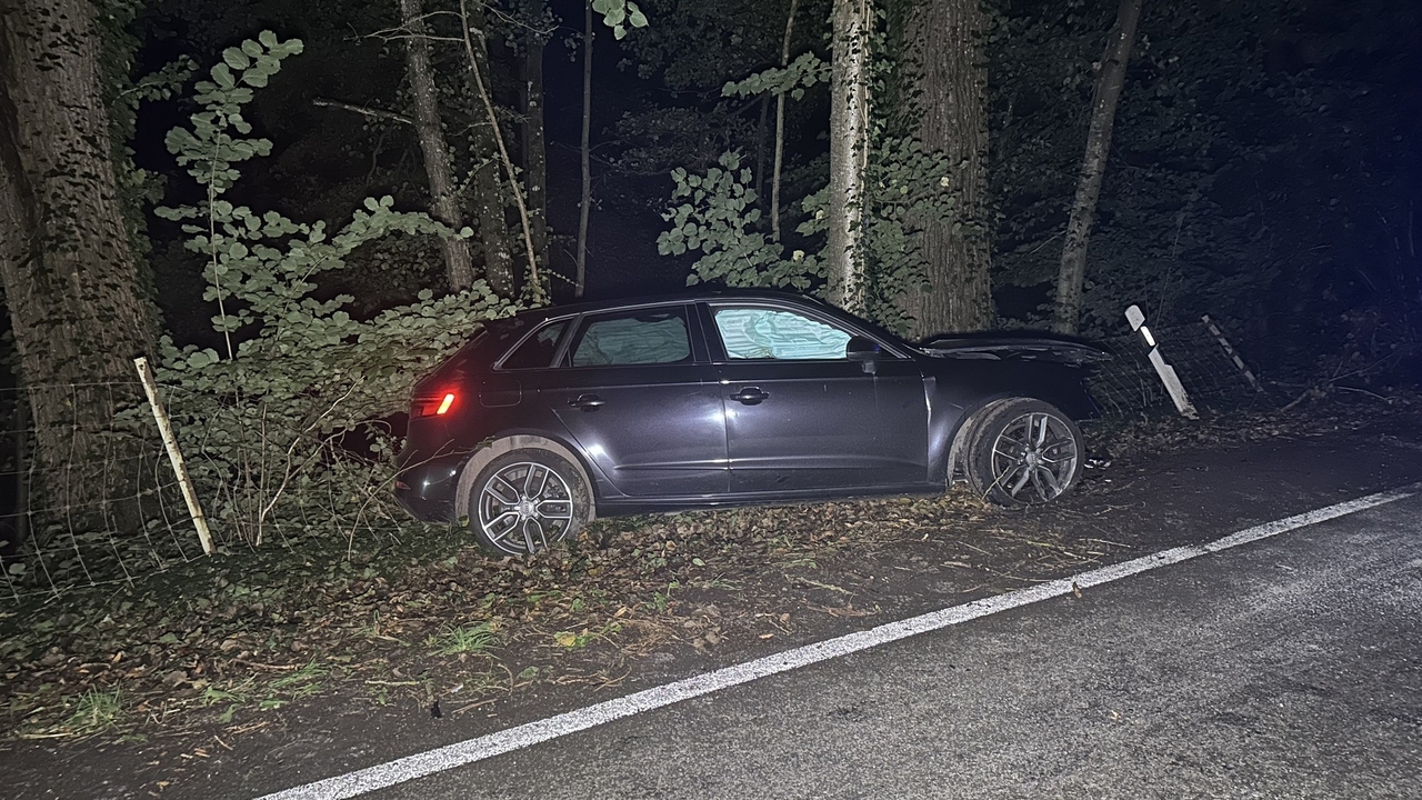 Between Useldange and Everlange: Five people severely injured in road ...