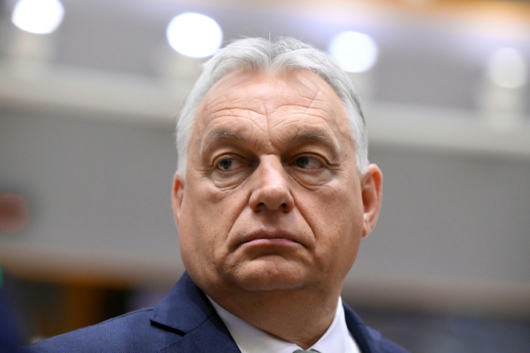 Hundreds of thousands of views: Hungary web users lap up footage of PM ...