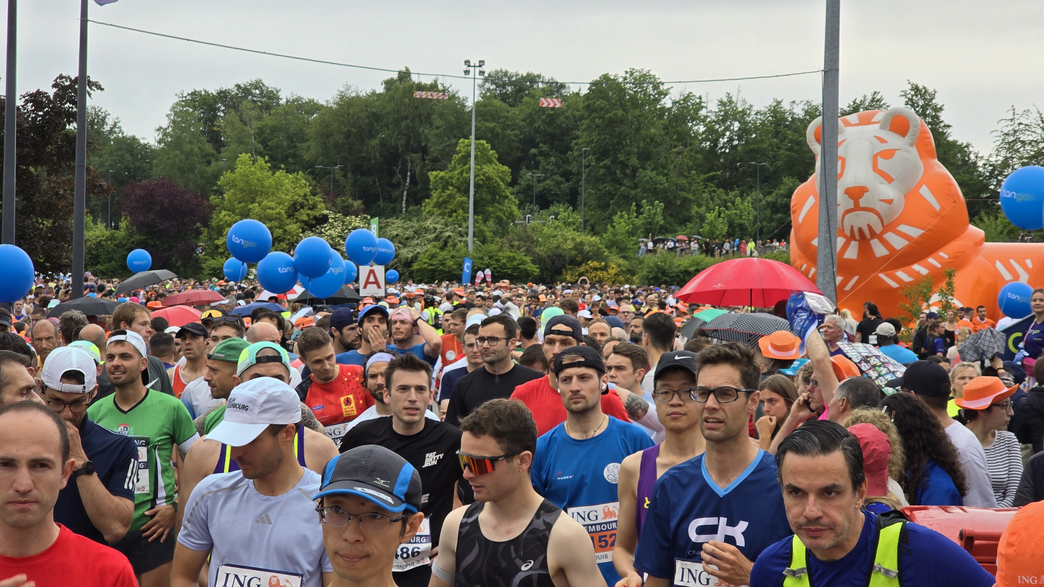 ING Night Marathon 2025: Victory for Luxembourg's James Dunn and ...