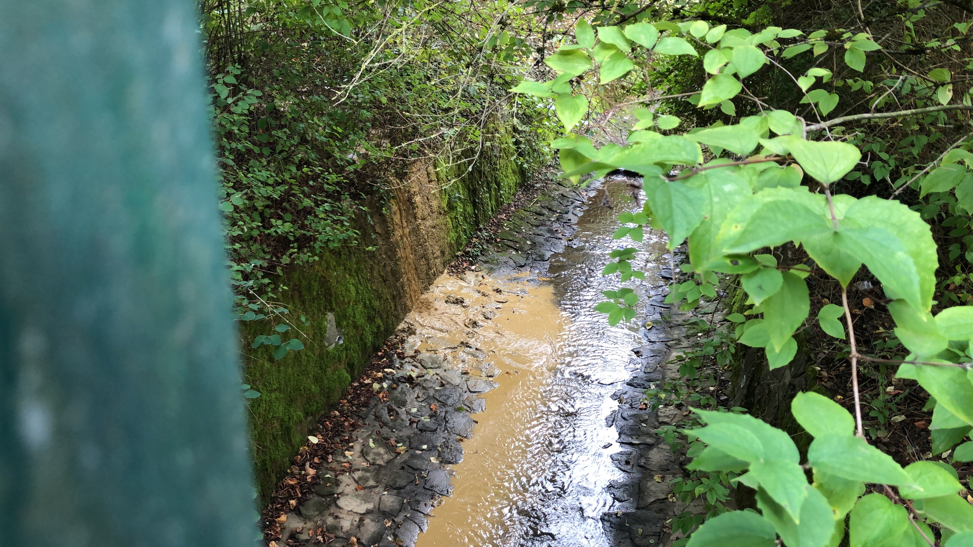 Pollution de l'eau à Mamer (28.09.2022) - RTL Infos
