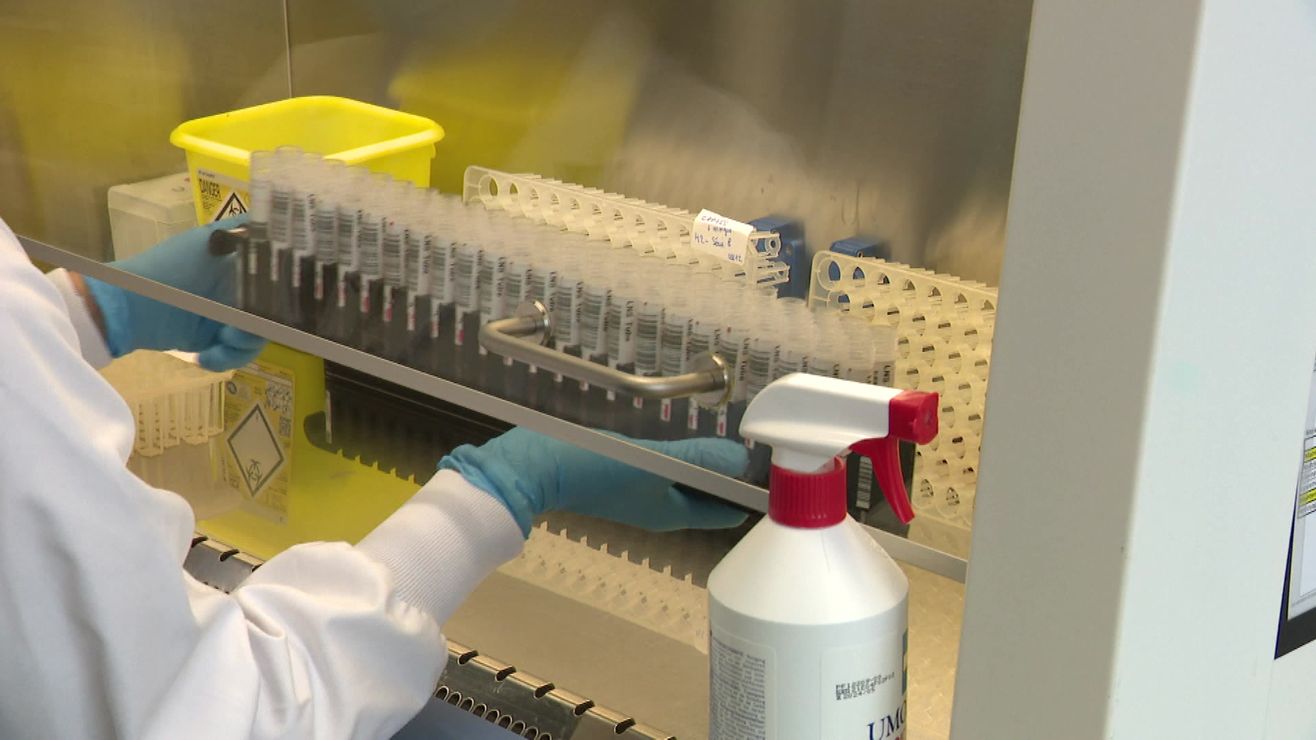 Case from 2019: Internal inquiry confirms conflict of interest at ...