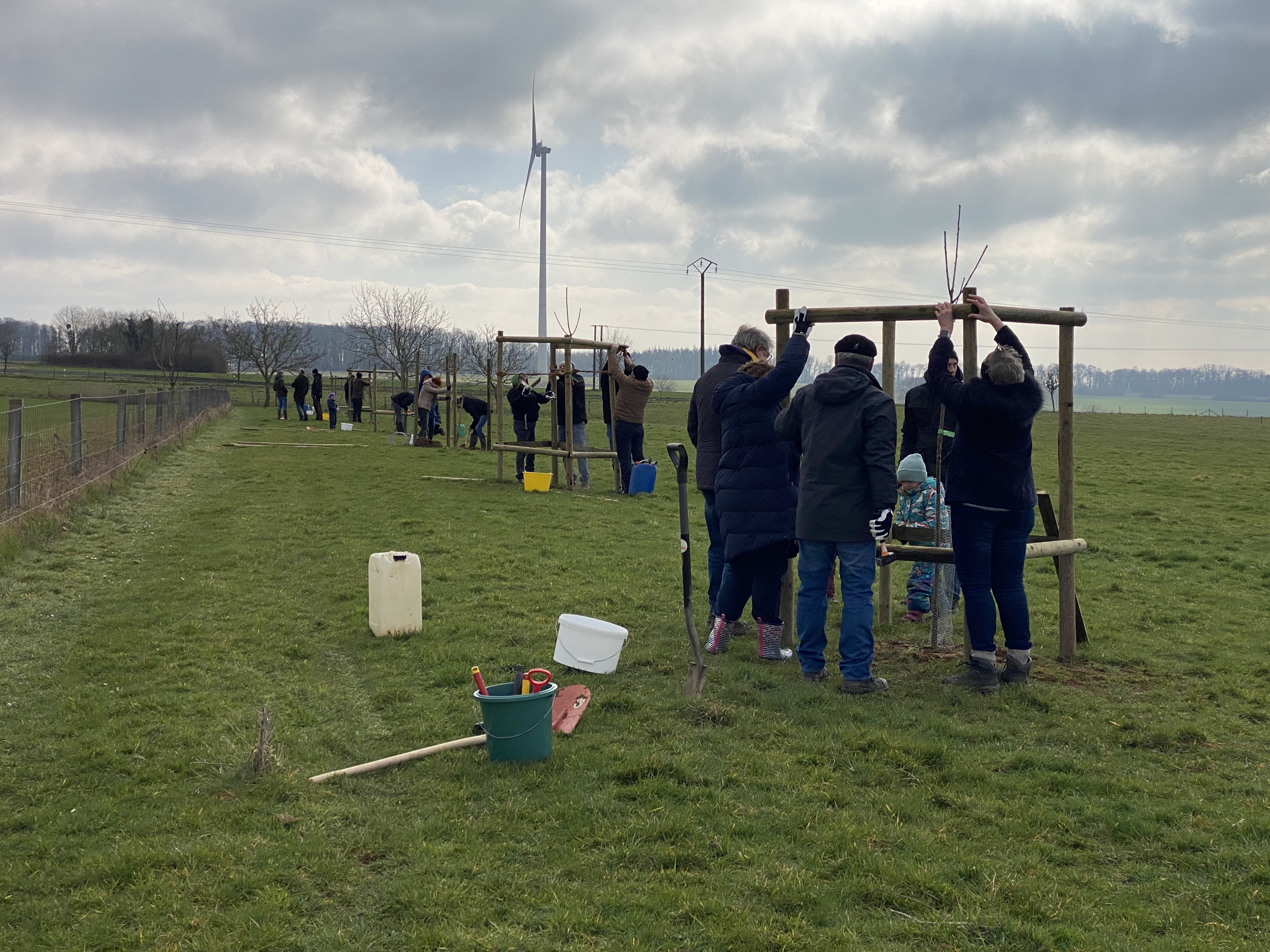 Plantation d'arbres à Bongert (1.3.25) - RTL Infos
