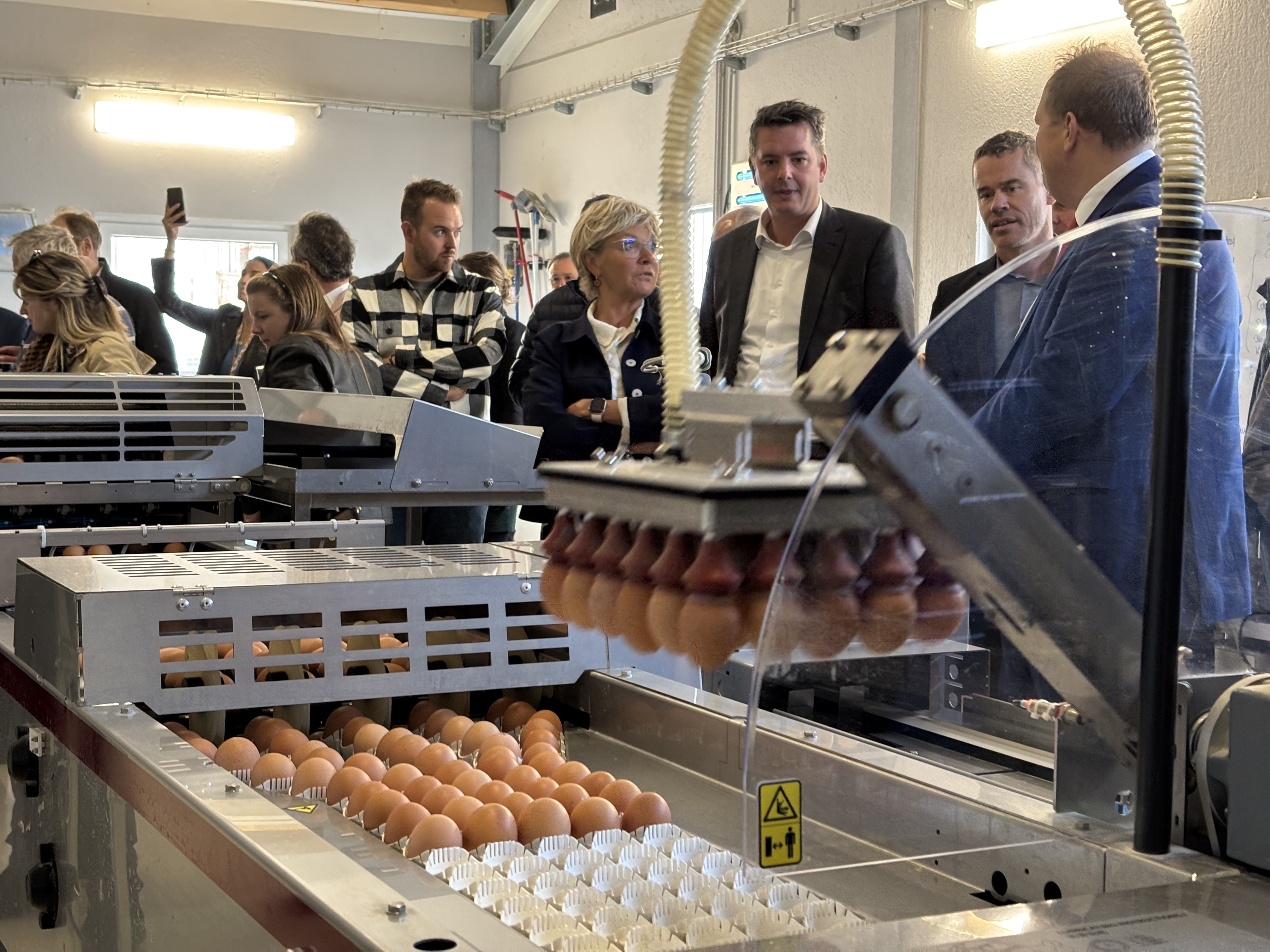 Dual use: New Sprinkange plant powers homes and protects free-range ...