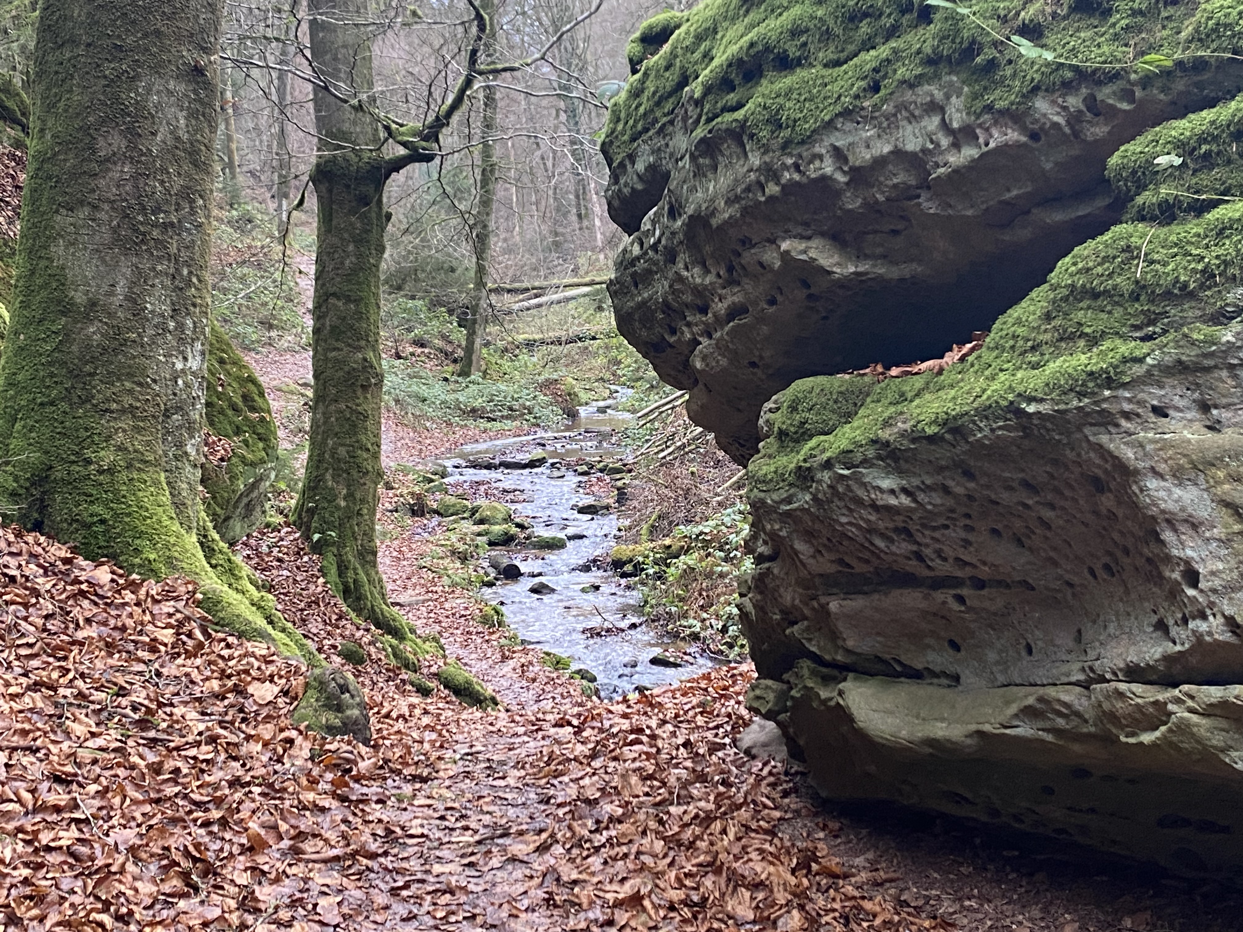 Unesco Global Geopark Mëllerdall: Op de Spuere vun der Geologie - RTL ...