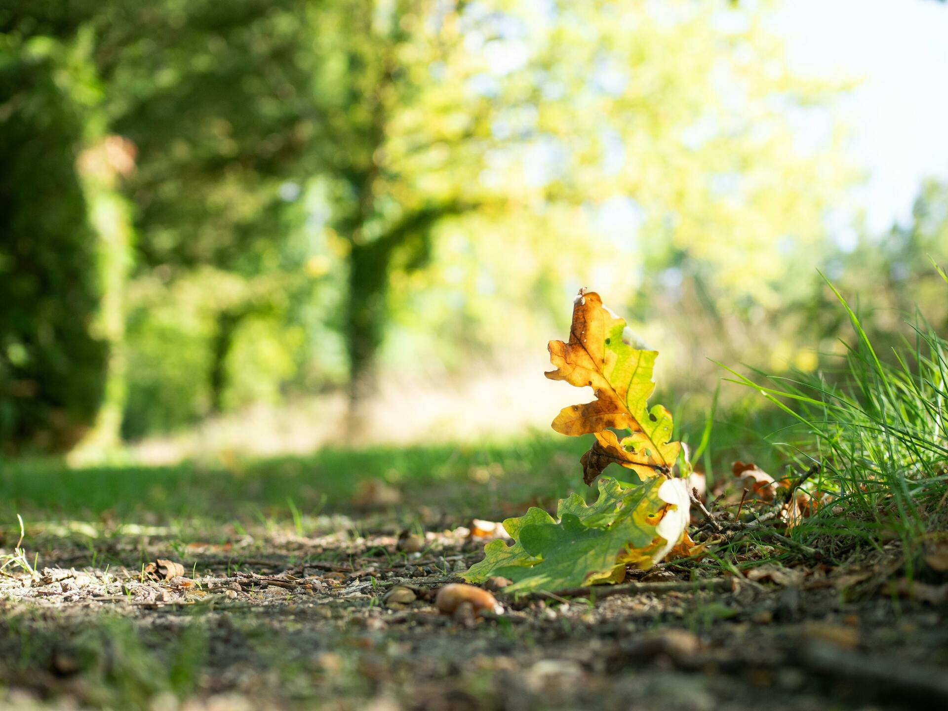Weather & Traffic: Friday 19 September: Summer will not go gently - RTL ...