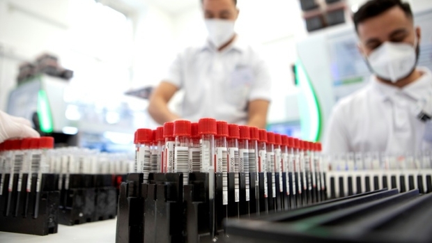 Covid-19 Taskforce: Exponential increase in Covid-19 infections this ...