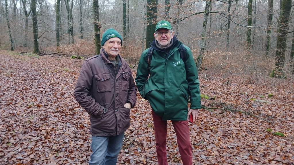 Reactions to COP30: Forest Stewardship Council Luxembourg criticises lack of woodland protections