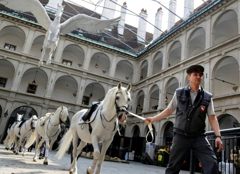 Allegations rejected: Vienna's Spanish Riding School probed over animal ...