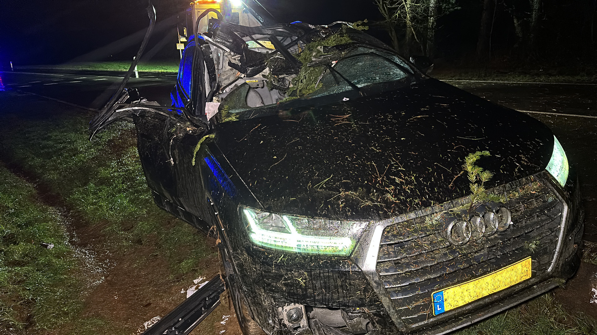 Intempéries au Luxembourg: Un arbre tombe sur une voiture près de ...