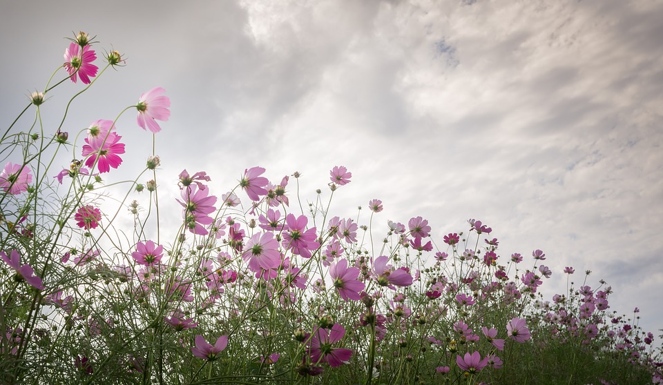 Weather & Traffic: Friday 5 April – Grey Friday - RTL Today