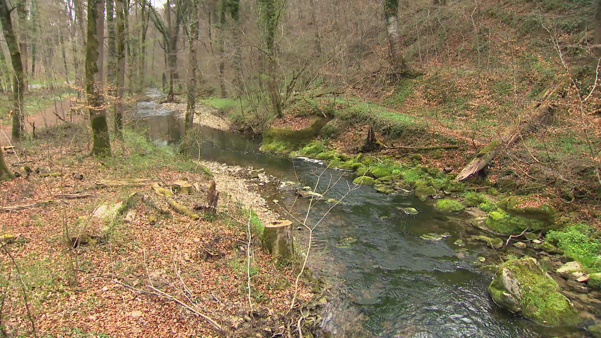 Flaws in several areas: Observatory of Natural Environment voices ...
