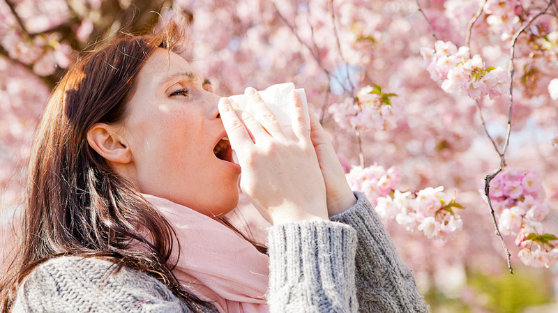 Allergies: Une nouvelle application de surveillance des pollens ...